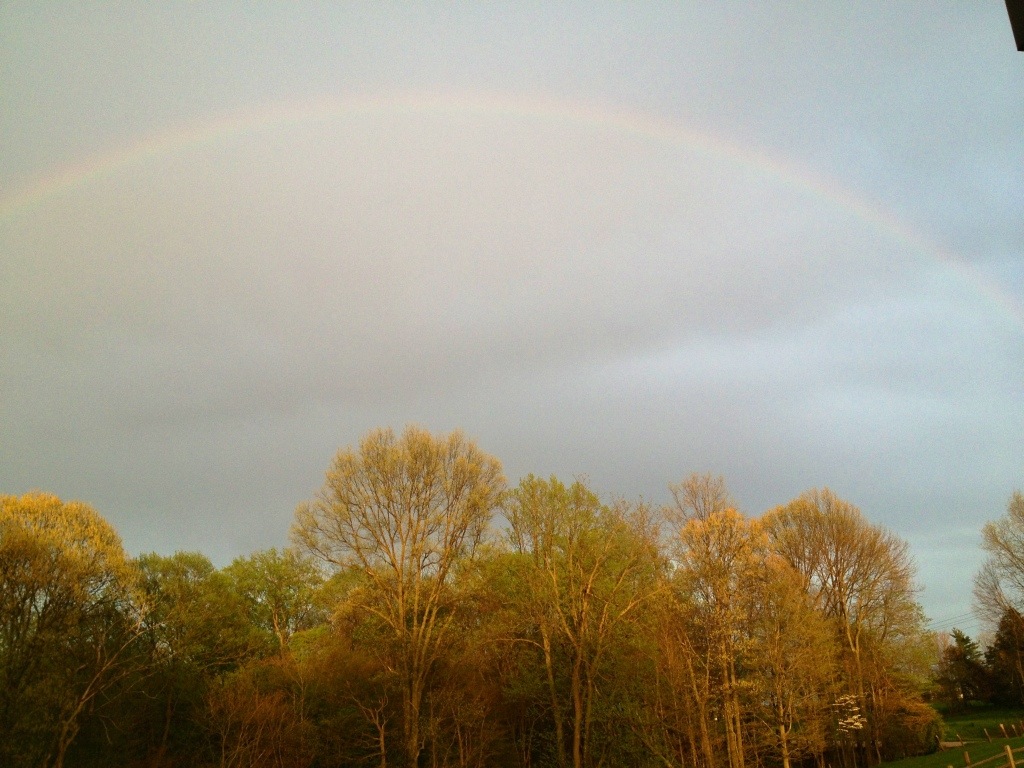 Summing It Up: | Sarah Sums It Up